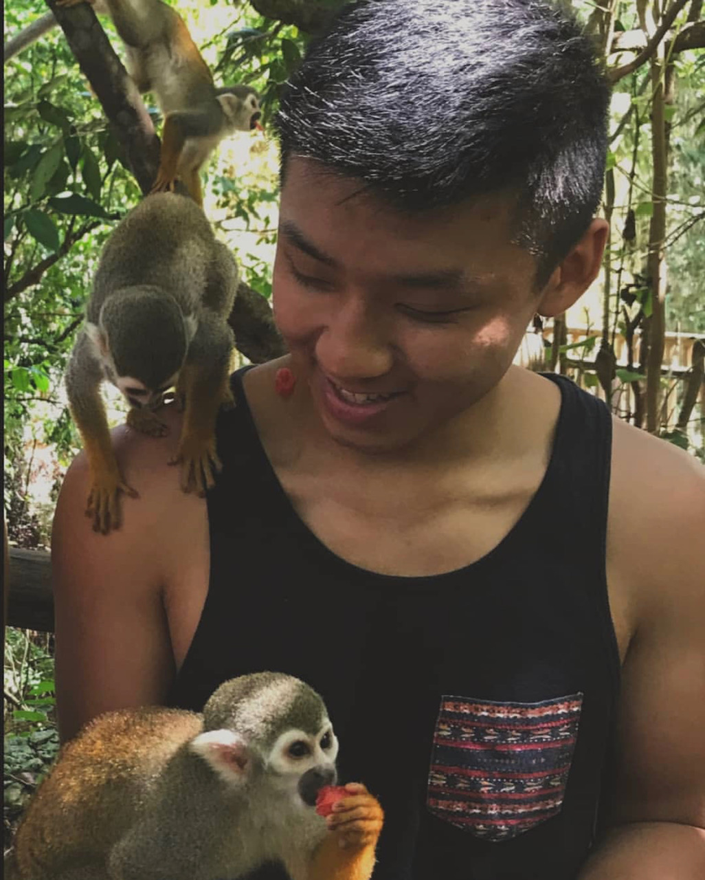 Kenny Luong's Portfolio